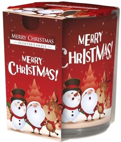 BISPOL SVÍČKA VE SKLE MERRY CHRISTMAS 100G