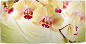 Sablio Ručník Orchidej 2 - 30x50 cm