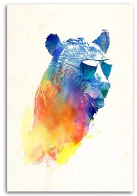 Gario Obraz na plátně Medvěd v brýlích - Robert Farkas Rozměry: 40 x 60 cm