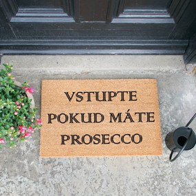 Rohožka z přírodního kokosového vlákna Artsy Doormats Prosecco, 40 x 60 cm