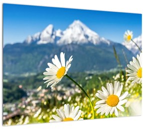 Skleněný obraz - Jaro v Alpách (70x50 cm)