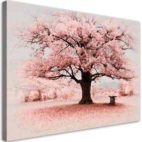 Obraz na plátně, Příroda abstrakce růžového stromu - 100x70 cm