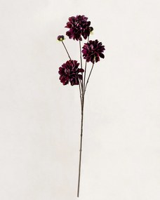 Větevicka dahlie 90 cm