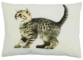 Plátěný polštář mourované kotě - 50*10*35cm