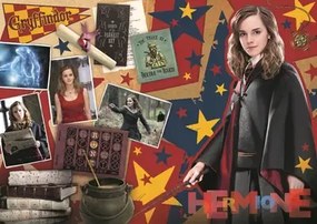 Trefl - Puzzle - Harry Potter: Ron. Hermiona a Harry / 400.500.600 díl