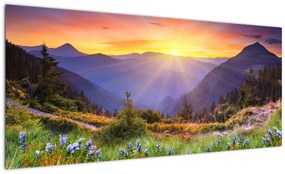 Panorama hor (100x40cm)