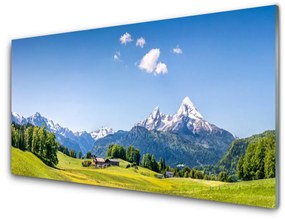 akrylový obraz Pole Stromy Hory Krajina 125x50 cm
