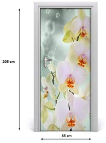 Fototapeta samolepící Orchidej 85x205 cm