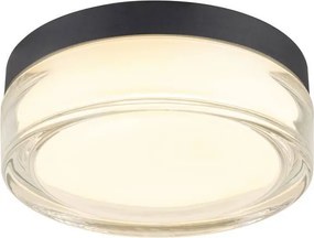 LA 1010210 CYFT XL Přisazené nástěnné a stropní svítidlo, 2700/3000/4000 K, 15 W, PHASE, 125°, IP65 černá / čirá - BIG WHITE (SLV)