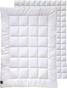 XXXLutz PŘIKRÝVKA PRO 4 ROČNÍ OBDOBÍ, 135/200 cm, duté vlákno Billerbeck - Přikrývky - 003279011901