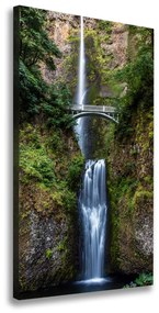 Wallmuralia Vertikální Vertikální Foto obraz na plátně do obýváku Vodopád 50x100