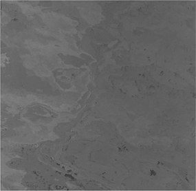 XXXLutz AKUSTICKÝ PANEL velikost: 52/52/0.7 cm Jangal - Online Only tapety - 003485001603