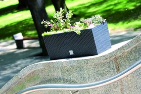 Prosperplast RATO case samozavlažovací truhlík 51,4 x 19,2 x 18,6 cm antracit