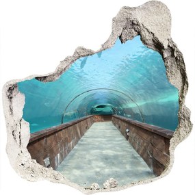 Wallmuralia Fototapeta díra na zeď 3D Tunel akvárium 75x75 cm