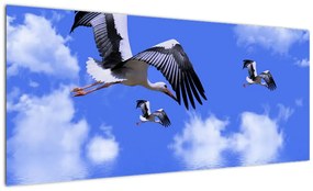 Obraz letících čápů (100x40cm)