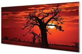 akrylový obraz Stromy oblohy zataženo 140x70 cm