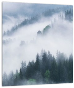 Obraz - Stromy v mlze (30x30 cm)