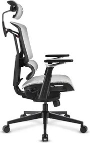 Sharkoon OfficePal C50M šedá / kancelářská židle / 3D opěrky / nosnost