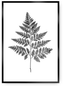 Plakát Fern Grey