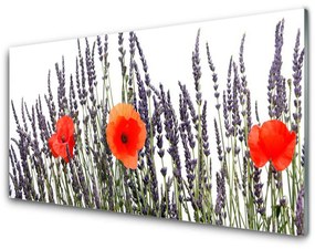 Plexisklo-obraz Květiny Máky Pole Trávy 140x70 cm