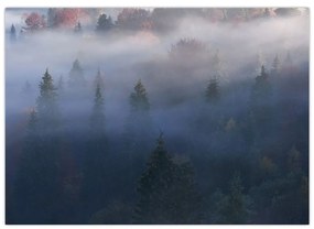 Skleněný obraz - Les v mlze, Karpaty, Ukrajina (70x50 cm)