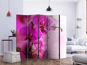 Pokojová zástěna Růžová orchidej II (5-dílný) - kvetoucí květiny na světle růžovém pozadí