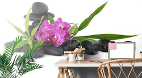 Samolepící tapeta fialová orchidej v Zen zátiší