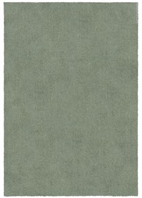 Flair Rugs koberce Kusový koberec Snuggle Sage Rozměry koberců: 200x290