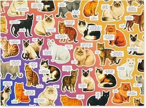 GALISON Puzzle Náladové kočky / 1000 dílků