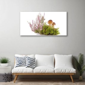 Obraz na plátně Houby Rostlina Příroda 140x70 cm
