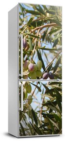 Wallmuralia Nálepka fototapeta Olivy na stromě 60x180 cm