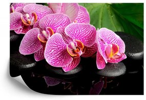 Fototapeta Orchidové Lázně Hladký vinyl 400x280