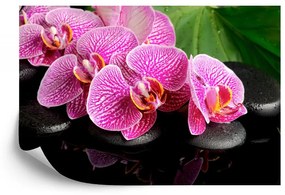 Fototapeta Orchidové Lázně Omyvatelný vlies 104x70.5