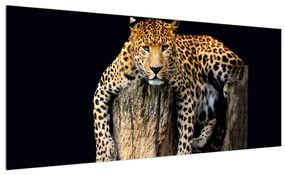 Obraz geparda (100x40 cm)