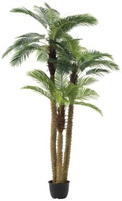 Okrasná trojitá palma v květináči Palm - Ø180*300cm