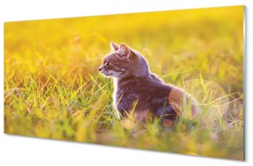 akrylový obraz lov cat 140x70 cm
