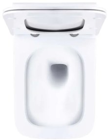 LOTOSAN Reedy závěsné WC s PureRim a WC sedátkem se SoftClose, bílá AQ LKW2122D