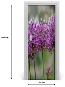 Fototapeta samolepící květ česneku 75x205 cm