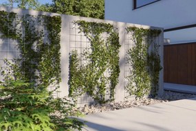 Treláž – opora pro rostliny 195 × 285 cm ✔ S 12 držáky pro montáž na stěnu