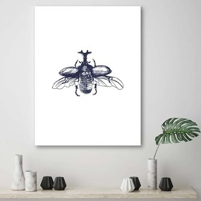 Gario Obraz na plátně Létající brouk Rozměry: 40 x 60 cm