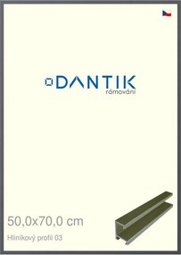 DANTIK rámeček 50x70 | ALU profil 7003 Platina matná (Plexi Čiré)