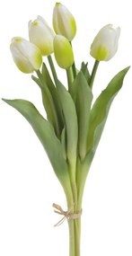 svazek tulipánů (5 ks) - bílozelená