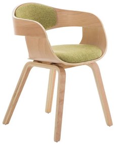 Bhm germany Jídelní židle Kingston, textil, přírodní / zelená