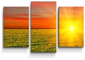 Sablio Obraz - 3-dílný Západ slunce nad loukou - 75x50 cm