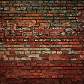 Fototapeta na zeď Brick Wall L-158