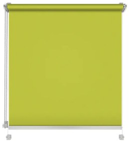 Gario Roleta Nástěnná Standard Strukturovaná Žlutozelená Výška: 150 cm, Šířka: 147 cm