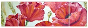 Obraz - Květy vlčích máků (170x50 cm)
