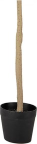 Dekorace umělý stromek olivovník s olivami Olea Tree - 20*20*90 cm