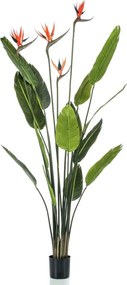 Emerald Umělá Strelitzia 4 rostliny v květináči 150 cm [435917]