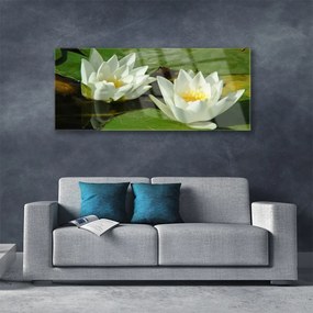 Plexisklo-obraz Květiny Rostliny Příroda 125x50 cm